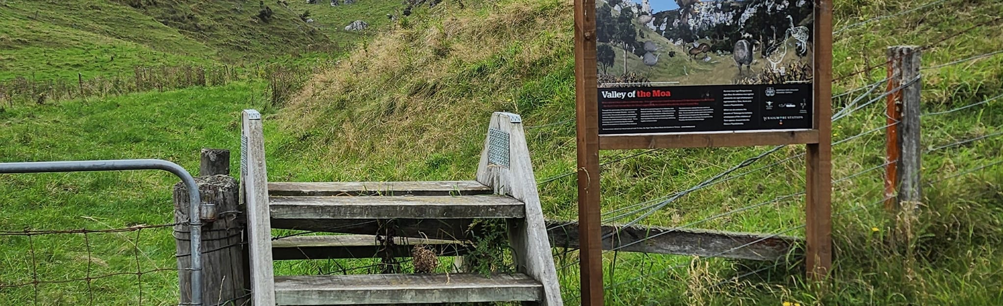 Valley of the Moa Walk, Canterbury, New Zealand - 7 Reviews, Map ...