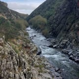Opihi River Gorge Track, Canterbury, New Zealand - 14 Reviews, Map ...