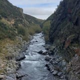 Opihi River Gorge Track, Canterbury, New Zealand - 14 Reviews, Map ...