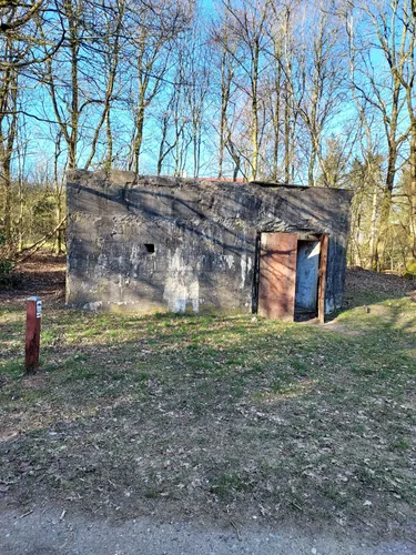 2023 Best Forest Trails in Toftlund | AllTrails