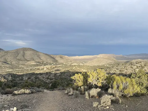 10 Best Hikes and Trails in Spring Mountains National Recreation Area ...