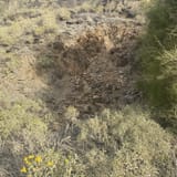 Clay Mine Trail, Arizona - 364 Reviews, Map | AllTrails