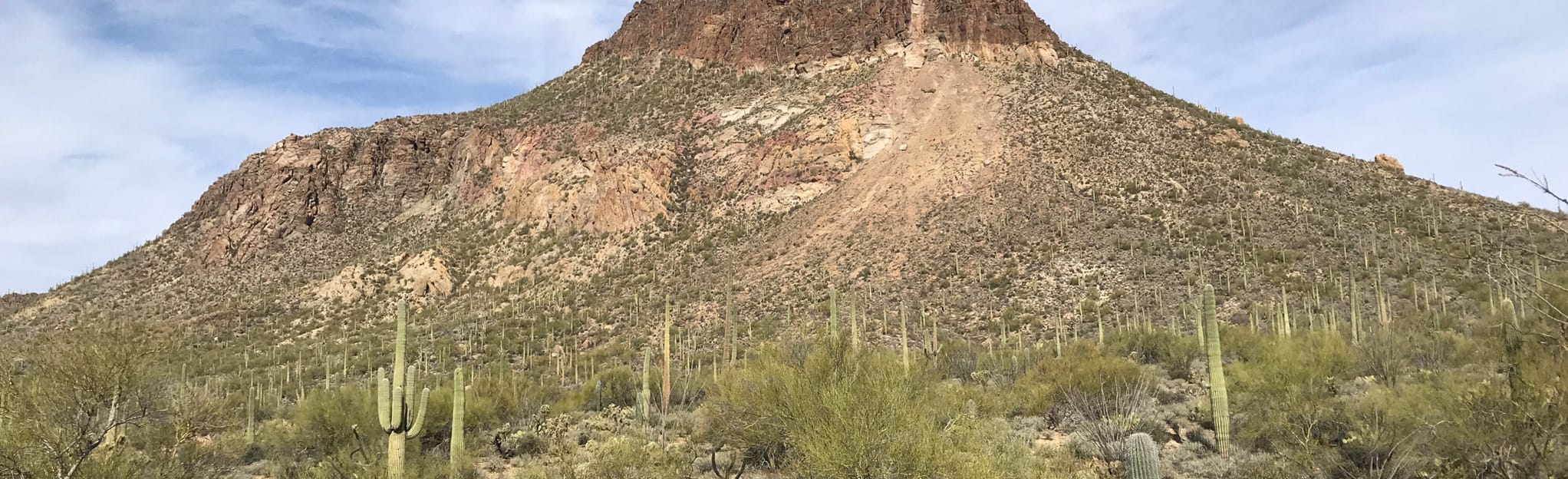 Tucson Estates Trail to Yetman Trail | Map, Guide - Arizona | AllTrails