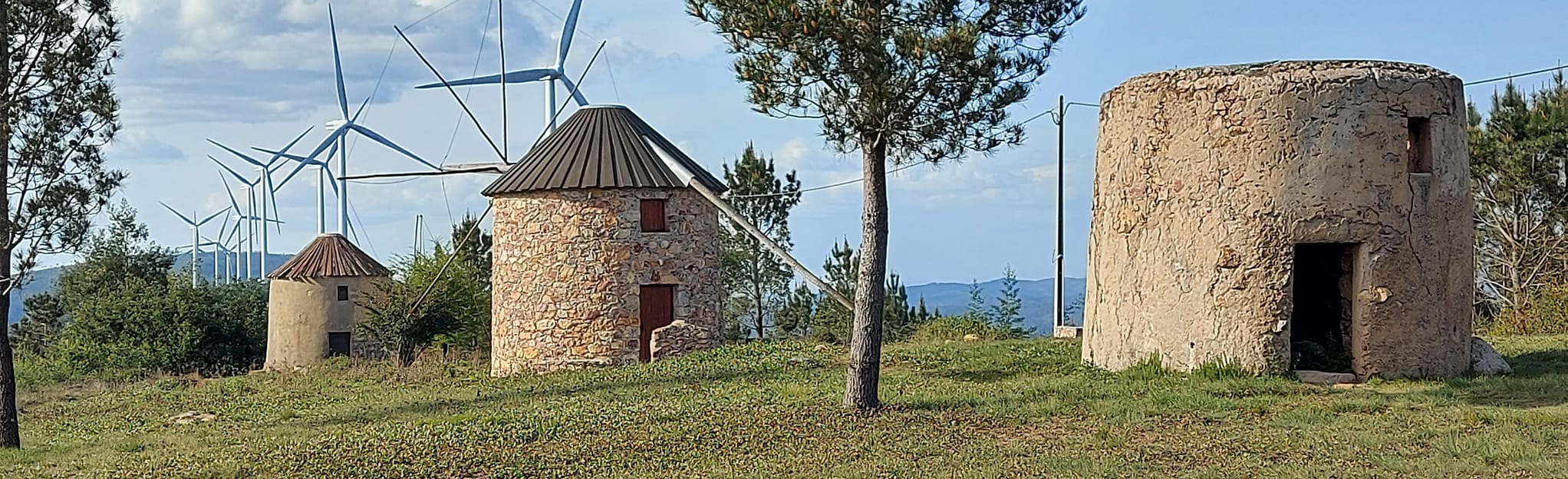 Path through Pinheirinho to the Mills of Portela de Oliveira, Coimbra ...