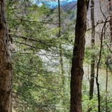 Cartecay River North Loop Trail, Georgia - 265 Reviews, Map | AllTrails