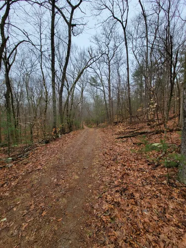 10 Best Trails and Hikes in Exeter | AllTrails