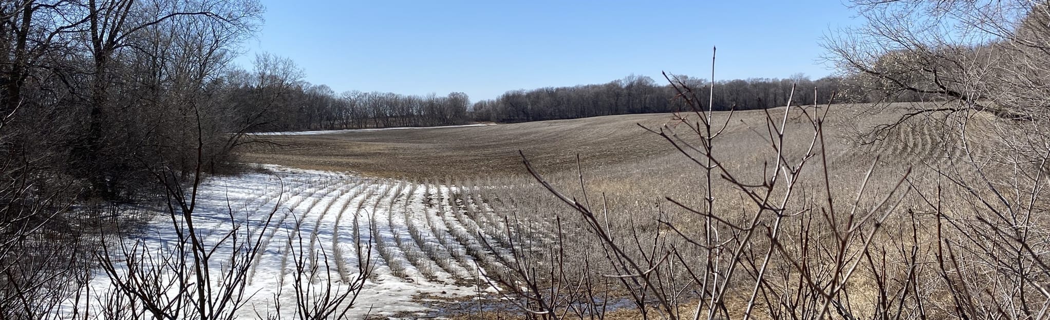 Wetland and Pine Loop: 43 Reviews, Map - Minnesota | AllTrails