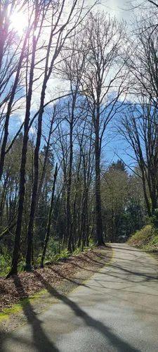 Best Forest Trails in Kent | AllTrails