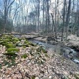 Fuller Mountain and Creek Loop, New York - 194 Reviews, Map | AllTrails