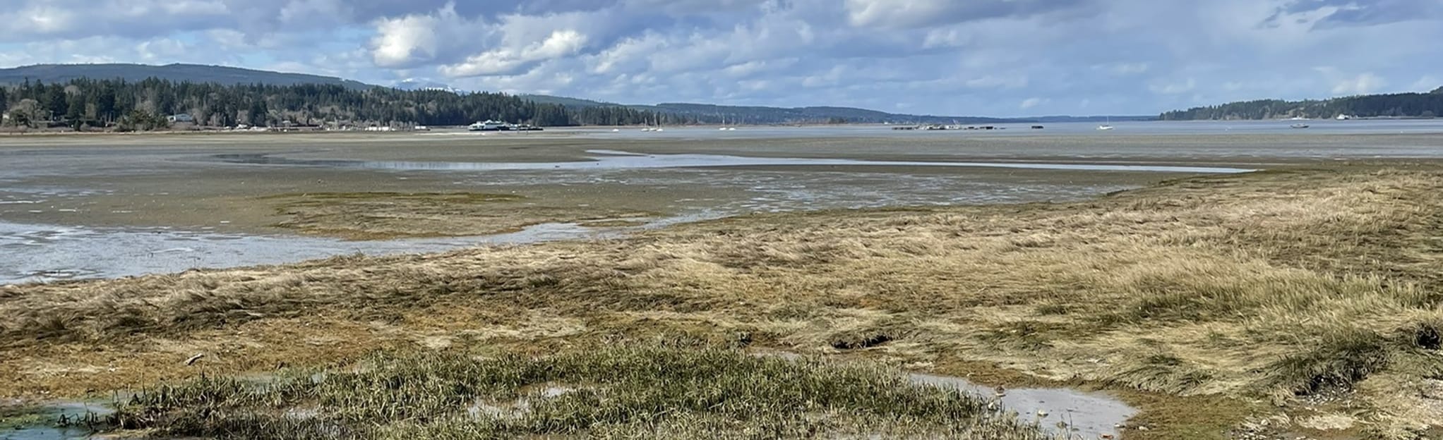 Fanny Bay Conservation Area, British Columbia, Canada - 48 Reviews, Map ...