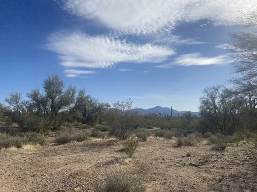 Best Hikes and Trails in Arthur Pack Regional Park | AllTrails