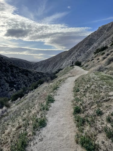 2023 Best Hot Springs Trails in Hesperia | AllTrails