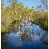 Cooloola Great Walk: Segment 1, Queensland, Australia - 156 Reviews ...