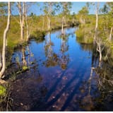 Cooloola Great Walk: Segment 1, Queensland, Australia - 156 Reviews ...