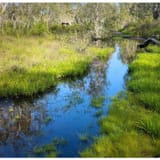 Cooloola Great Walk: Segment 1, Queensland, Australia - 156 Reviews ...