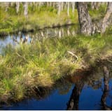 Cooloola Great Walk: Segment 1, Queensland, Australia - 156 Reviews ...