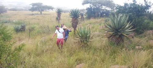 Best Hikes and Trails in Msinga NU | AllTrails