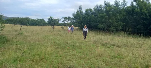 Best Hikes and Trails in Msinga NU | AllTrails