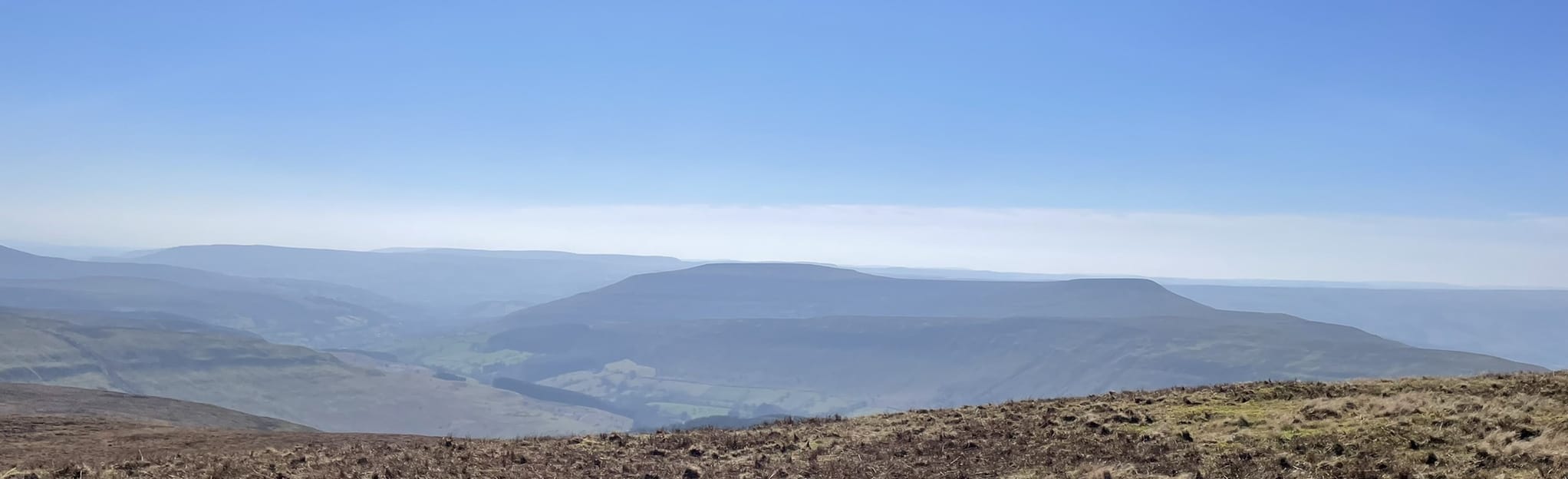 Mynydd Du Forest, Pen Y Gadair Fawr and Waun Fach, Monmouthshire, Wales ...