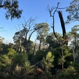 Cardinia Aqueduct Trail, Victoria, Australia - 261 Reviews, Map | AllTrails