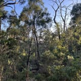 Cardinia Aqueduct Trail, Victoria, Australia - 261 Reviews, Map | AllTrails