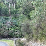 Cardinia Aqueduct Trail, Victoria, Australia - 261 Reviews, Map | AllTrails