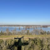 Sheldon Lake State Park Nature Loop, Texas - 197 Reviews, Map | AllTrails