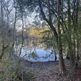 Sheldon Lake State Park Nature Loop, Texas - 197 Reviews, Map | AllTrails