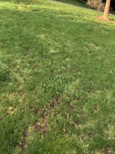 Best Hikes and Trails in Andulka Park | AllTrails