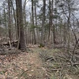 Shaupeneak Ridge Trail, New York - 387 Reviews, Map | AllTrails