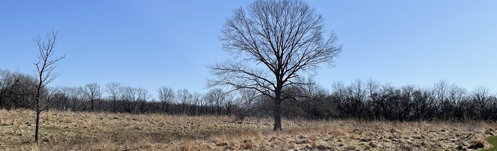 Bonnie View Prairie Restoration Trail: 21 Reviews, Map - Missouri ...