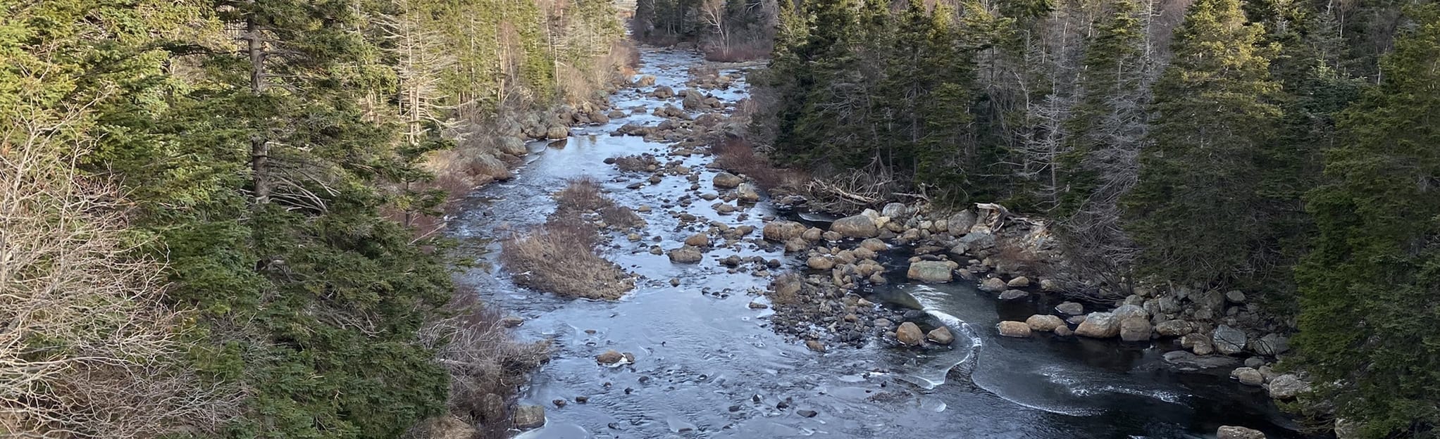 Trailway: Topsail Pond to Manuels River, Newfoundland and Labrador ...