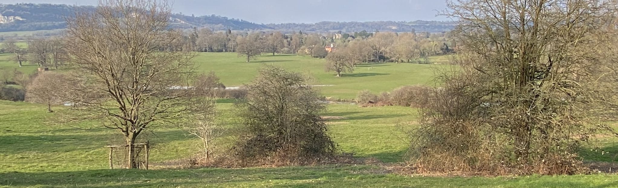 Brockham Circular: 12 Reviews, Map - Surrey, England | AllTrails