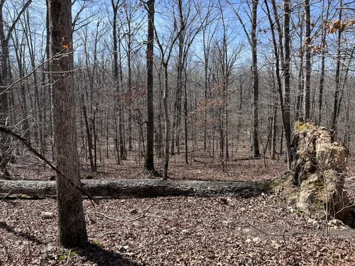 10 Best Hikes and Trails in Mark Twain National Forest | AllTrails