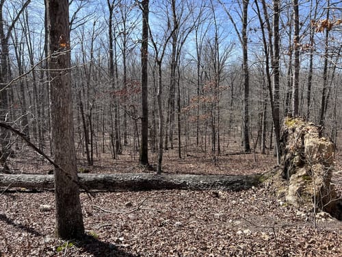 2023 Best 10 Easy Trails in Mark Twain National Forest | AllTrails