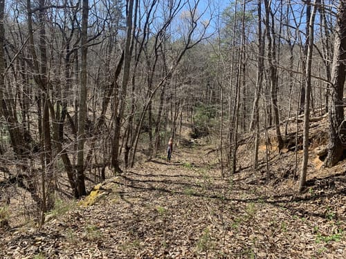 Best Hikes and Trails in Mountain Longleaf National Wildlife Refuge ...