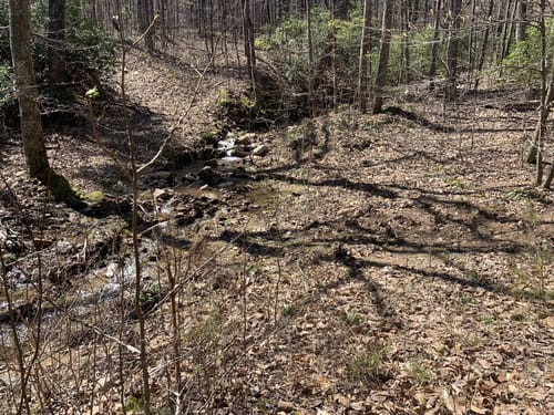 Best Hikes and Trails in Mountain Longleaf National Wildlife Refuge ...