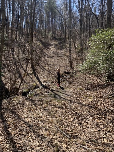 Best Hikes and Trails in Mountain Longleaf National Wildlife Refuge ...