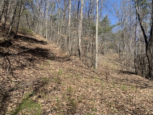 Best Hikes and Trails in Mountain Longleaf National Wildlife Refuge ...