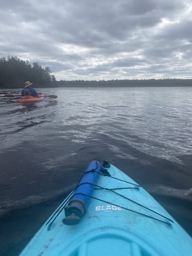 Best Hikes and Trails in Penn State Forest | AllTrails