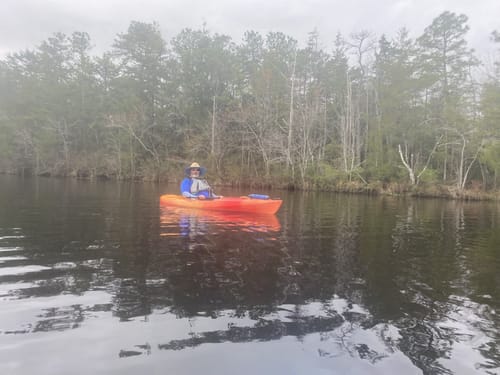 Best Hikes and Trails in Penn State Forest | AllTrails