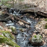 Swope Loop to Pine Hill, New Hampshire - 160 Reviews, Map | AllTrails