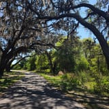 Coastal Anclote Trail, Florida - 239 Reviews, Map | AllTrails