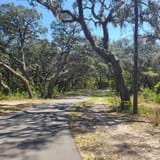 Coastal Anclote Trail, Florida - 239 Reviews, Map | AllTrails