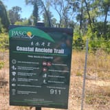 Coastal Anclote Trail, Florida - 239 Reviews, Map | AllTrails