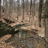 Trout Run Trail, Pennsylvania - 272 Reviews, Map | AllTrails