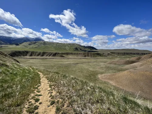 Best Hikes and Trails in Wind Wolves Preserve | AllTrails