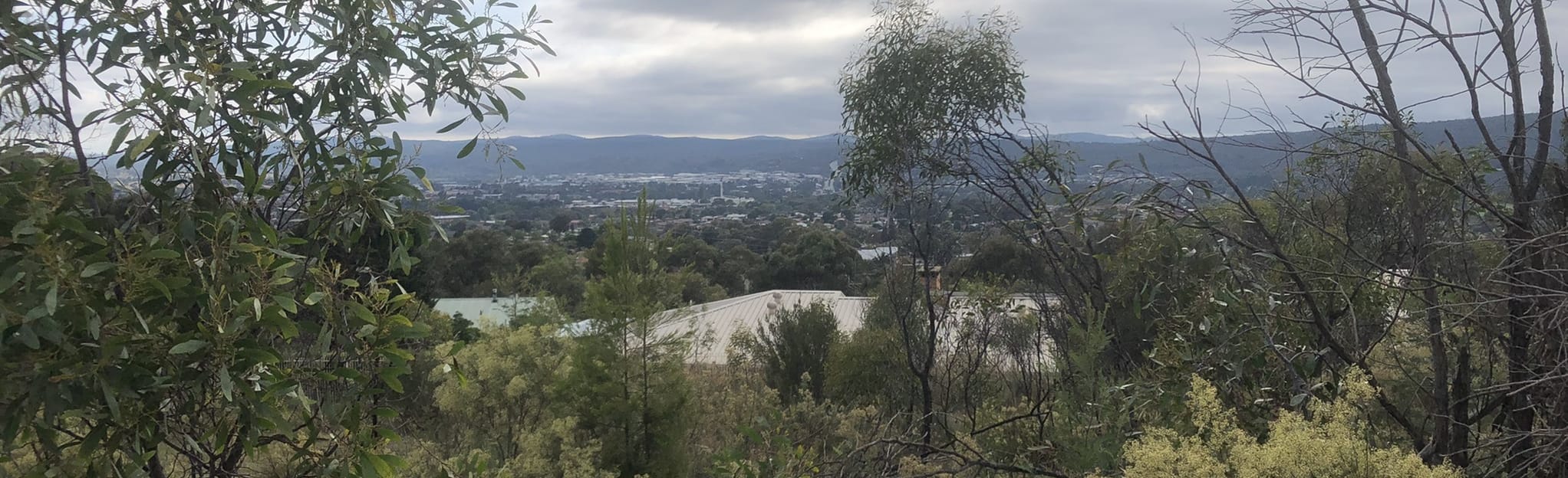 Mount Jerrabomberra Loop via Summit: 67 Fotos - New South Wales ...