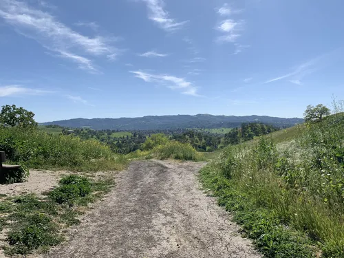 10 Best Moderate Trails in Shell Ridge Open Space | AllTrails