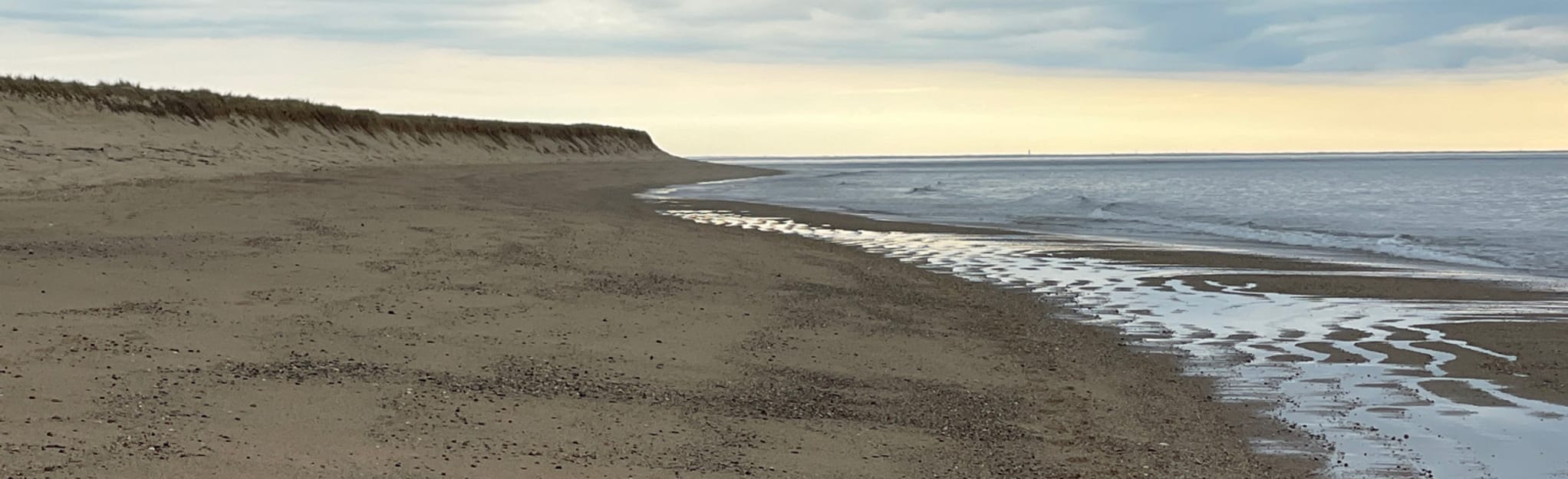 Race Point Dunes: 61 Reviews, Map - Massachusetts | AllTrails